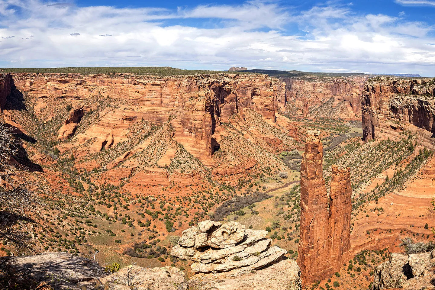 Popular National Park Souvenirs - WNPA | Shop Online Today!