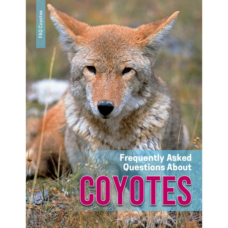 Frequently Asked Questions About Coyotes | WNPA - Shop Now - Western ...
