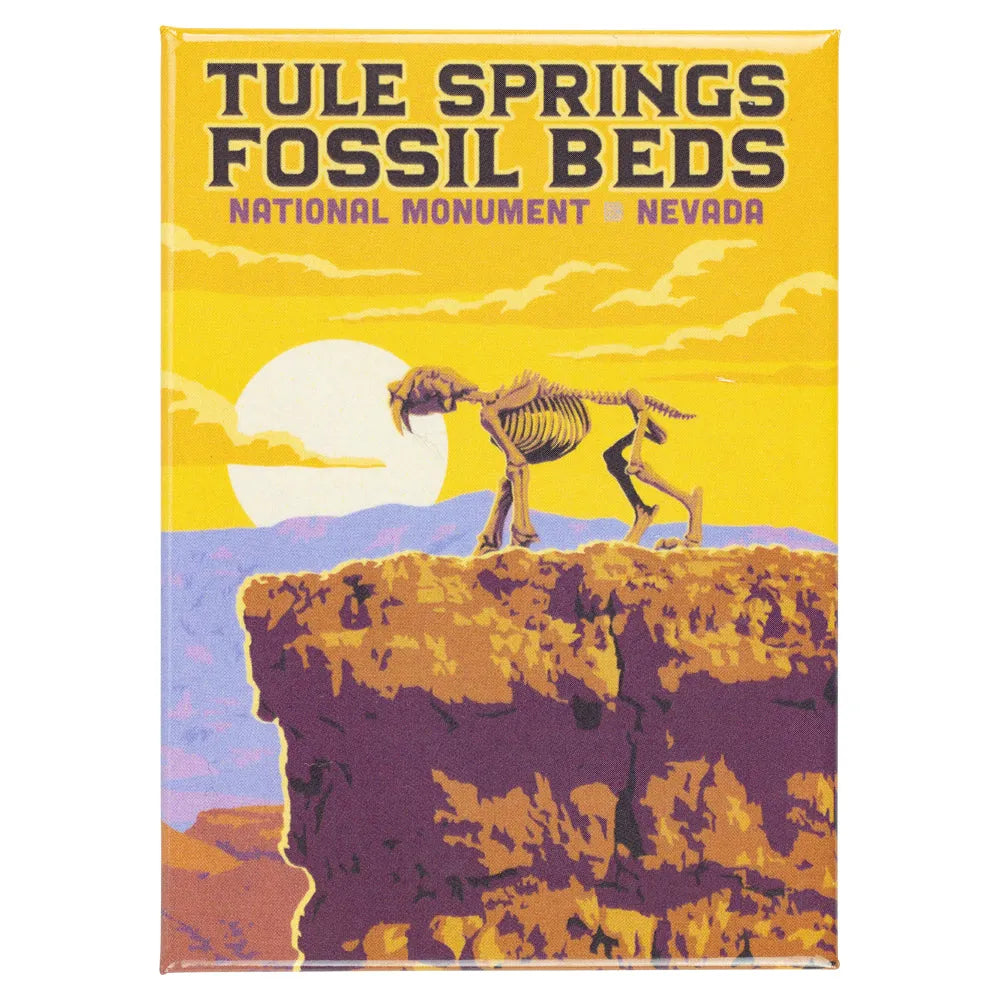 Tule Springs Fossil Beds Magnet: Nature's Artwork