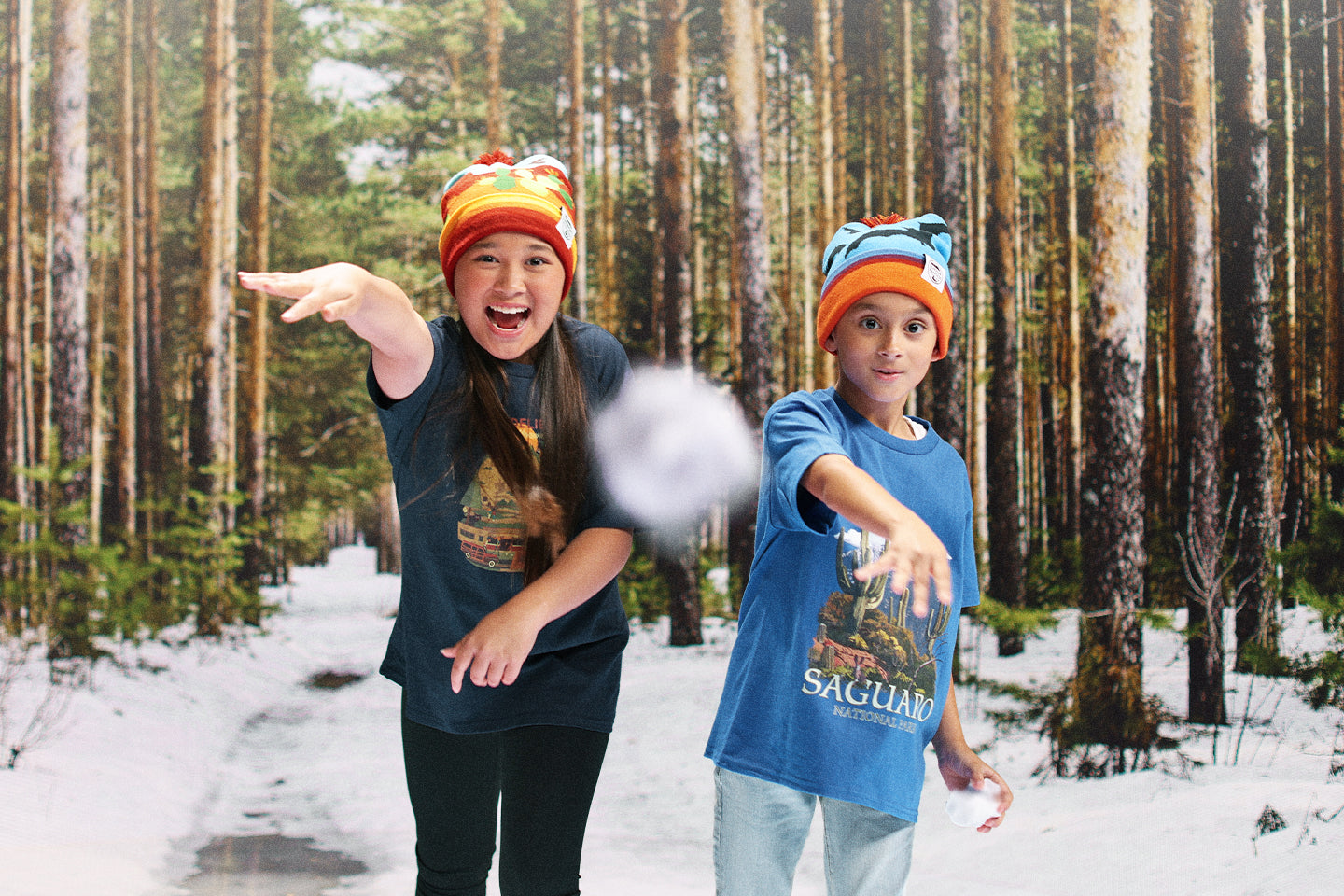 Western National Parks Association