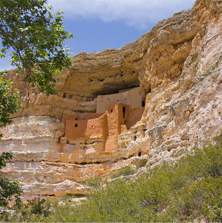National Parks of the USA Bucket List Water Bottle | WNPA - Shop ...